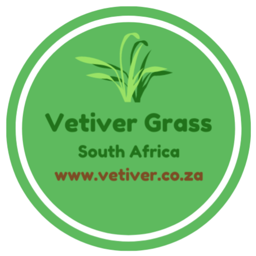 Vetiver Grass FAQ: Uses, Planting, Benefits & Practical Advice